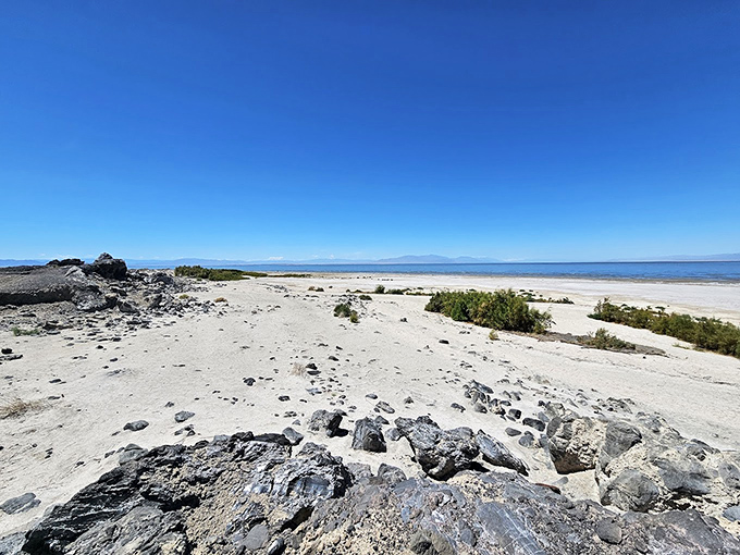 The Salton Sea shoreline offers a surreal beauty &ndash; where desert meets water in a landscape that feels like nature's own art installation.