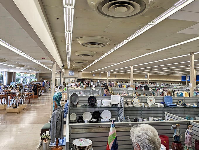 Endless aisles stretch toward the horizon like a secondhand Narnia. The fluorescent lights illuminate possibilities that big box stores can only dream about.