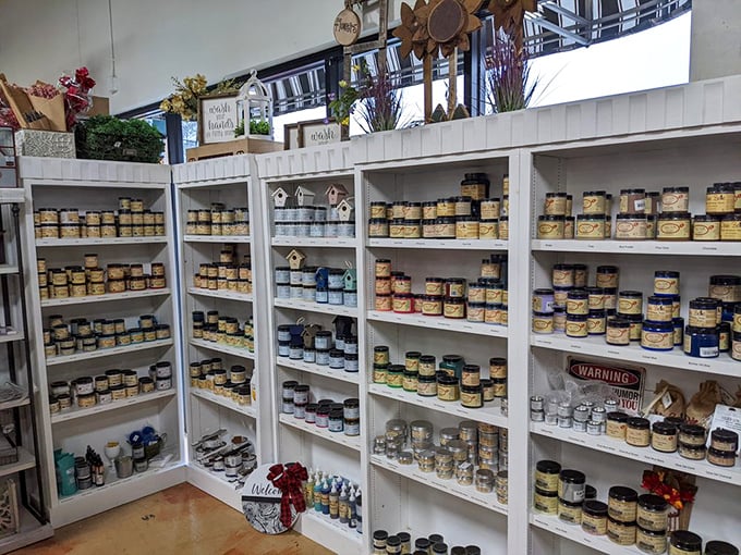 Not just jars on shelves, but possibilities in containers. Each holds the potential to transform forgotten furniture into conversation pieces. 