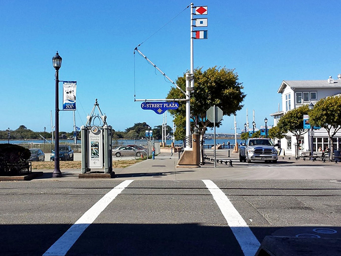 F Street Plaza welcomes visitors with international flags fluttering in the sea breeze. The perfect starting point for your Victorian treasure hunt.