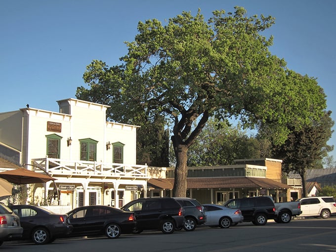Downtown Los Olivos offers a masterclass in small-town charm, with historic buildings standing proudly beneath ancient oak trees.
