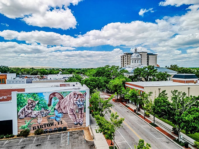 Bartow's skyline showcases its blend of historic and modern, complete with a vibrant mural celebrating local wildlife &ndash; Florida's natural beauty on display.