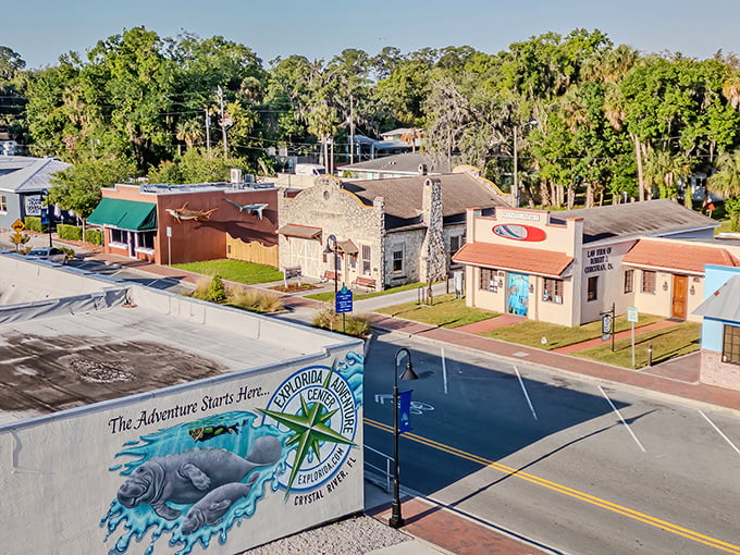 Downtown Crystal River greets visitors with colorful murals celebrating its manatee heritage. Small-town charm with a splash of artistic flair. 