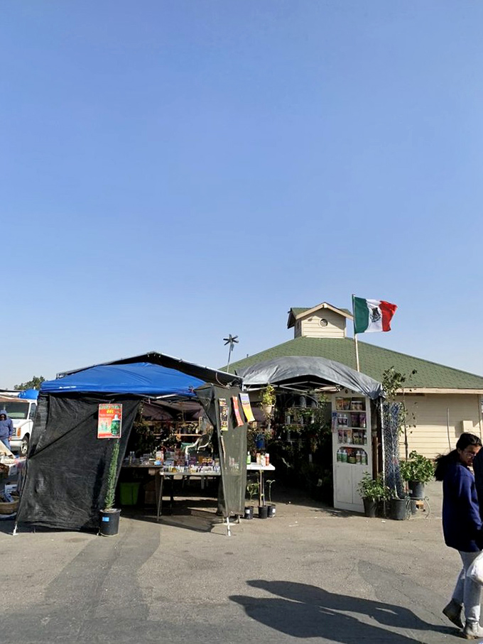 A slice of Mexico in Stockton! This building with its proud flag signals you've reached the cultural crossroads of the market.