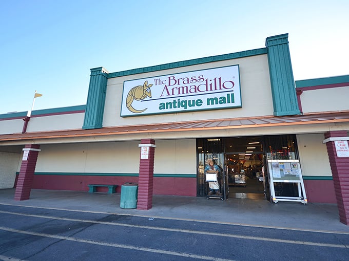 The unassuming exterior belies the time-travel portal within. Like a desert mirage, this armadillo promises treasures instead of water.