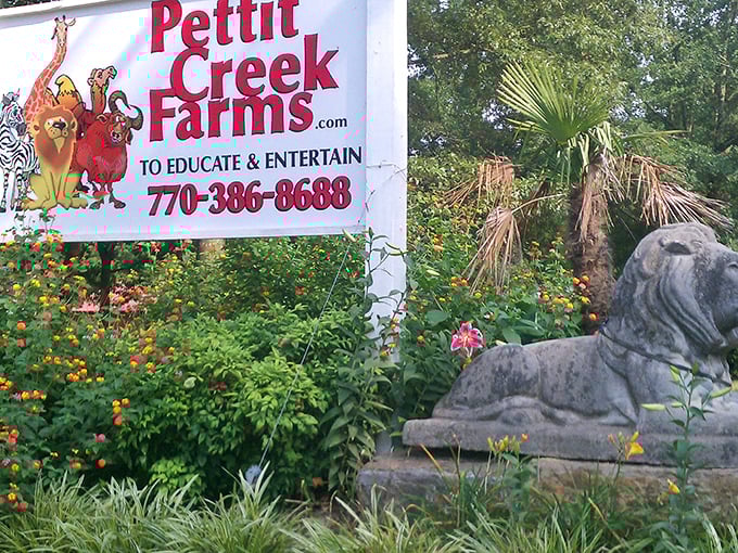 Not your average roadside attraction sign &ndash; this colorful welcome promises zebras, giraffes, and memories that'll outlast your camera battery.