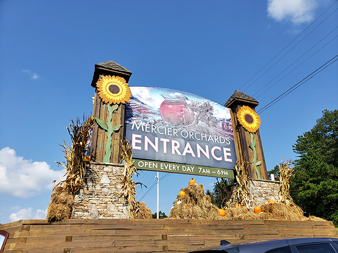 The entrance to fruit heaven announces itself with rustic charm and sunflower flair &ndash; nature's way of saying "good things this way."