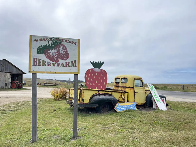 The farm's vintage yellow truck and charming sign create a welcome worthy of a Norman Rockwell painting&mdash;Instagram-ready before Instagram existed.
