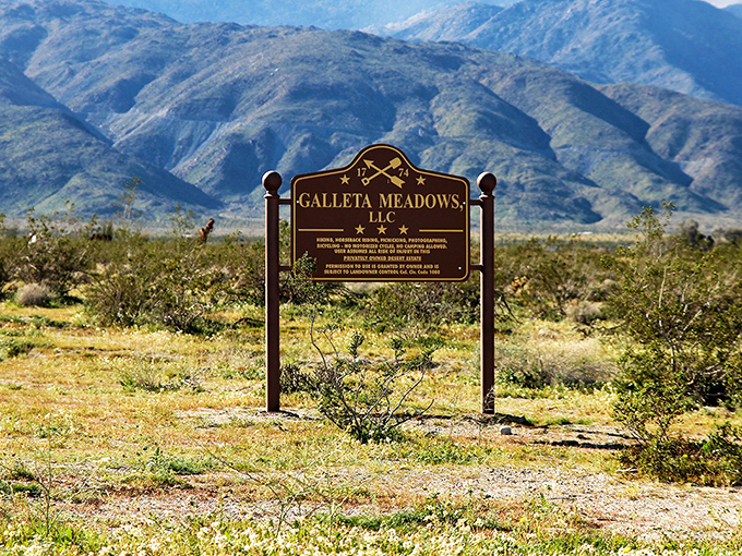 Not your average roadside sign! The Galleta Meadows marker stands as a humble introduction to the extraordinary metal menagerie beyond.