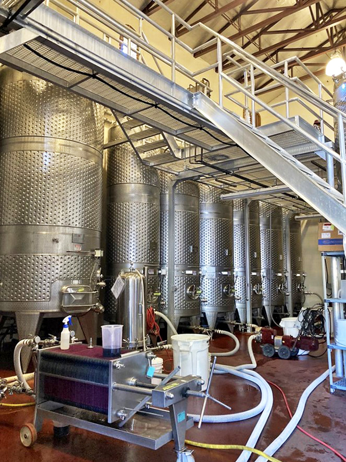 Modern winemaking meets medieval architecture as stainless steel fermentation tanks gleam beneath wooden beams, a perfect marriage of 13th century aesthetics and 21st century technology.