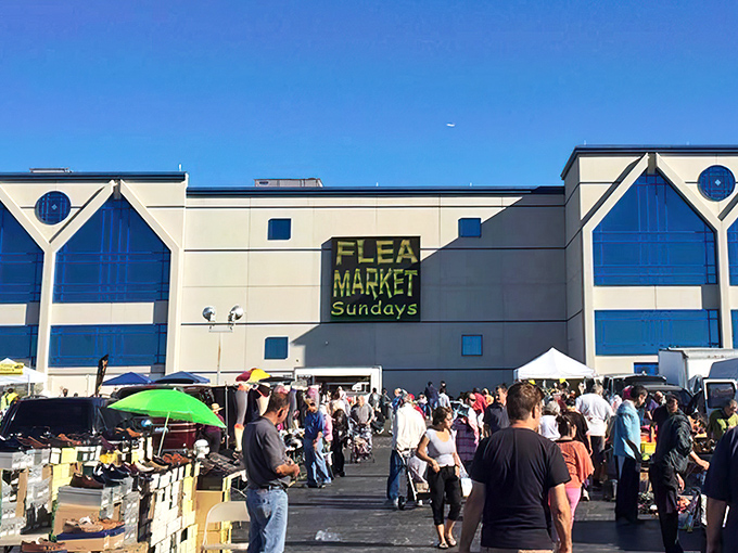 Blue skies and bargain hunters create the perfect Sunday symphony. The thrill of the hunt draws crowds before most have finished their coffee.