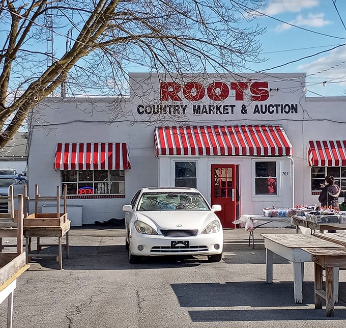 The iconic red and white awnings of Root's Country Market & Auction welcome visitors like a beacon for bargain hunters and collectors alike.