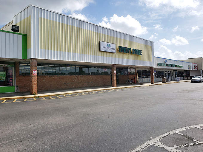 This unassuming storefront houses a wonderland of secondhand treasures that would make Marie Kondo both proud and slightly nervous.