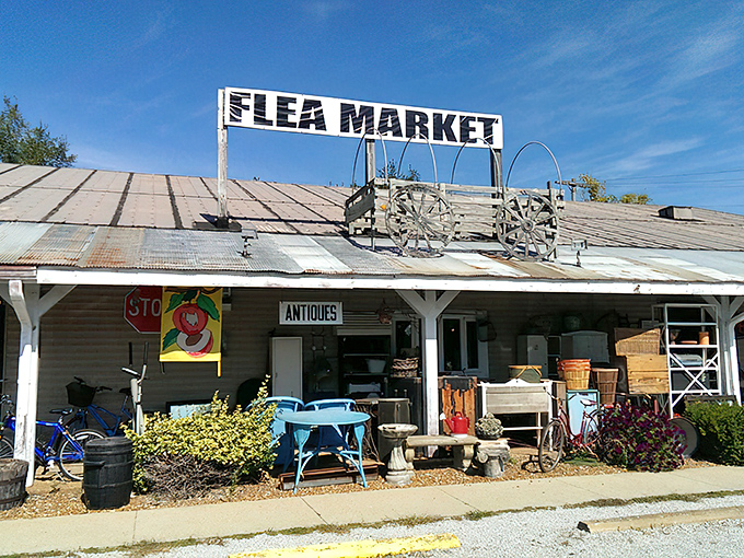The unassuming exterior belies the wonderland within. Like a time-travel portal disguised as a roadside stop, adventure awaits.