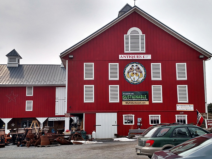 From this angle, you can appreciate the barn's impressive scale and architectural details. The white trim against that classic red is rural Americana at its finest.