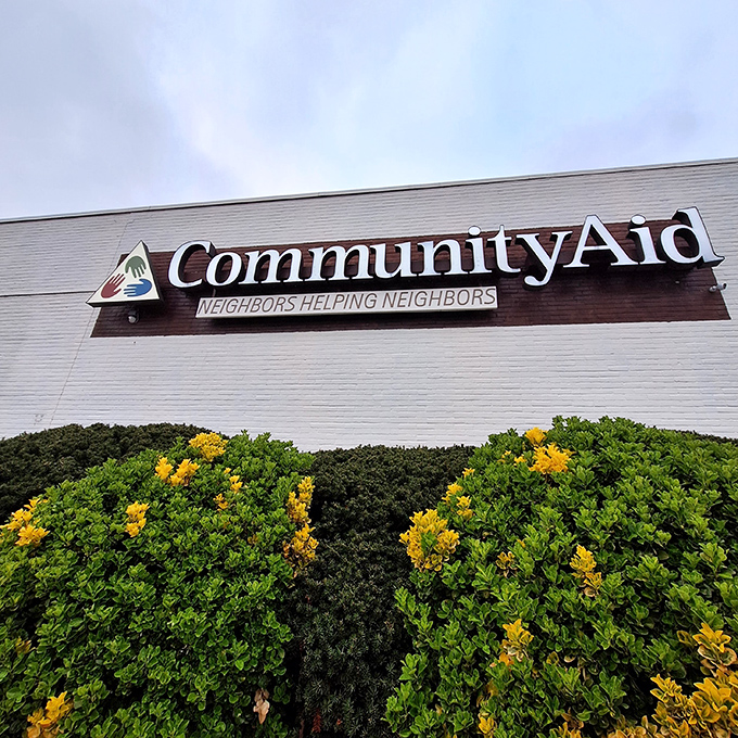 Lush greenery frames the CommunityAid sign, nature's way of giving a thumbs-up to sustainable shopping and the thrill of the secondhand hunt.