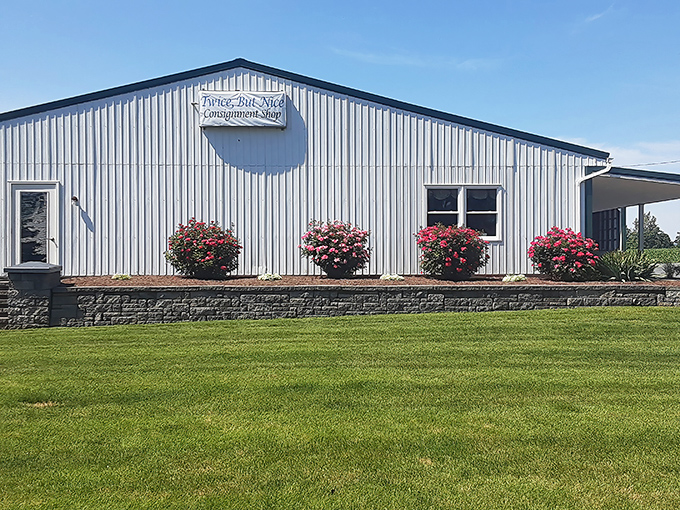 The unassuming exterior hides retail magic within, like finding an original Beatles album in your grandparents' attic. Those flowering plants aren't the only things blooming here!