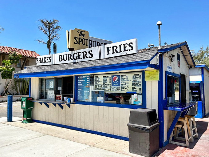 Sun-drenched and unpretentious, The Spot's ordering window has witnessed generations of hungry beachgoers making what might be California's easiest culinary decision.