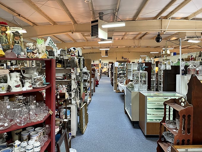 Aisles that stretch into infinity, each shelf a time capsule waiting to be opened. Treasure hunting has never felt so expansive.