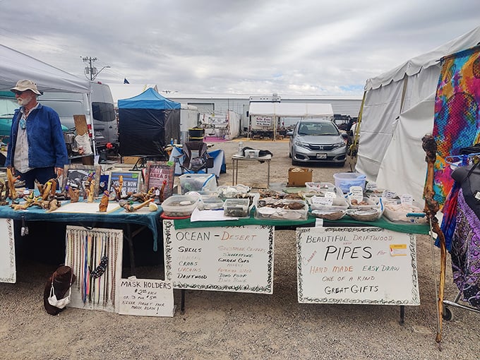 One vendor's "ocean to desert" merchandise showcases the beautiful contradiction of finding seashells and driftwood in Arizona's arid landscape.