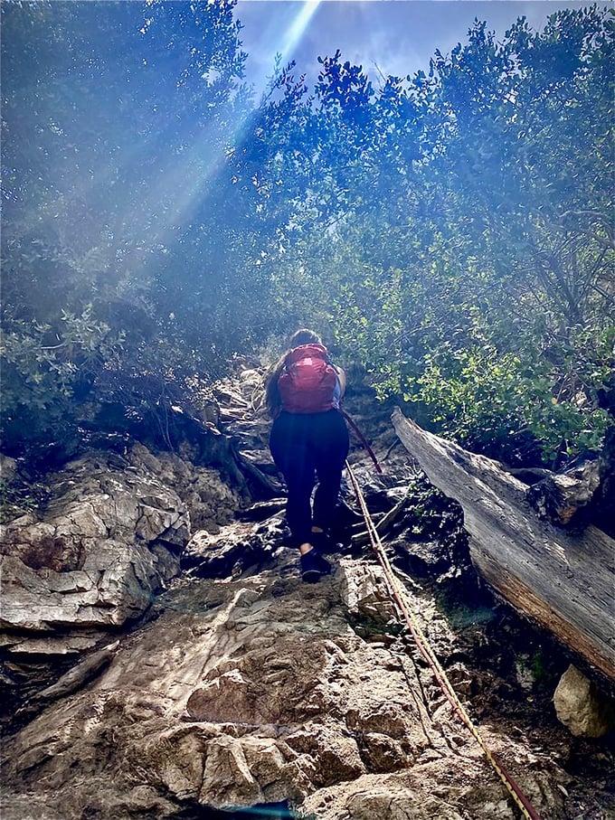 The path less traveled sometimes requires a hiking pole and a sense of adventure. Worth every careful step!