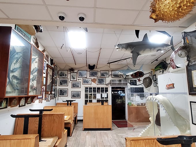 Nautical nostalgia meets seafood sanctuary. Where sharks swim overhead while you feast below – thankfully with a solid ceiling between you.