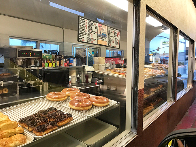 Treasure trove of sweet temptations awaits behind glass, where glazed masterpieces line up like sugary soldiers ready for deployment to happy stomachs.