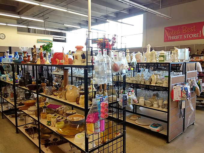 Rows of housewares stretch like a museum of forgotten dinner parties, waiting for their second act. 