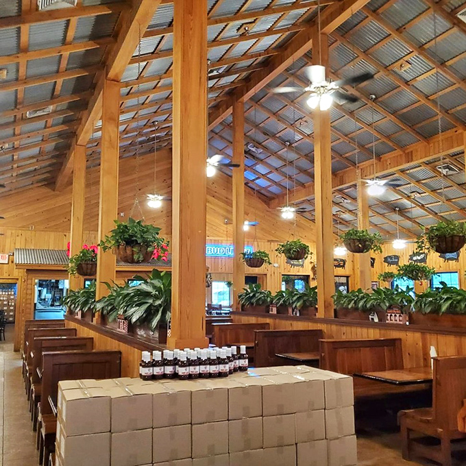 Soaring wooden beams and hanging plants create the perfect backdrop for meat-induced euphoria. Like dining in a cathedral dedicated to smoked perfection.
