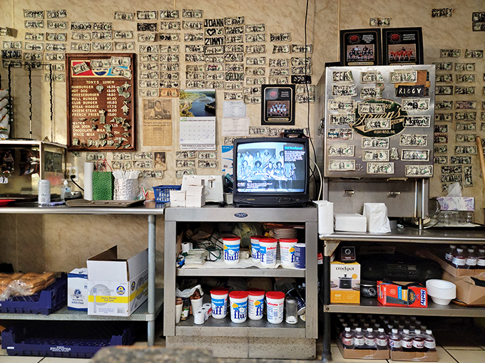 Dollar bills wallpaper the interior like a scrapbook of satisfied customers. Each one tells a story of burger-induced happiness that cash apps can't replicate.