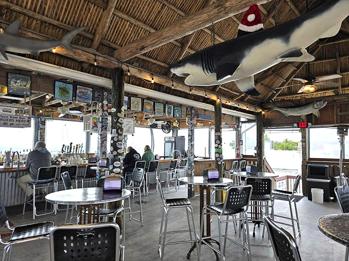 Where shark decor meets waterfront views. This rustic dining room proves the best Florida experiences don't need fancy frills.