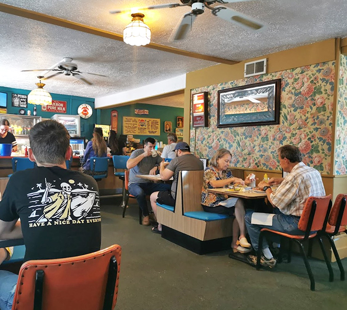 Step inside Fred's and you're transported to a world where floral wallpaper is haute couture and comfort is the only currency that matters.