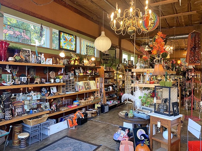 Step inside and prepare for sensory overload – chandeliers dangling above shelves packed with curiosities create the feeling you've stumbled into Aladdin's cave with better lighting.