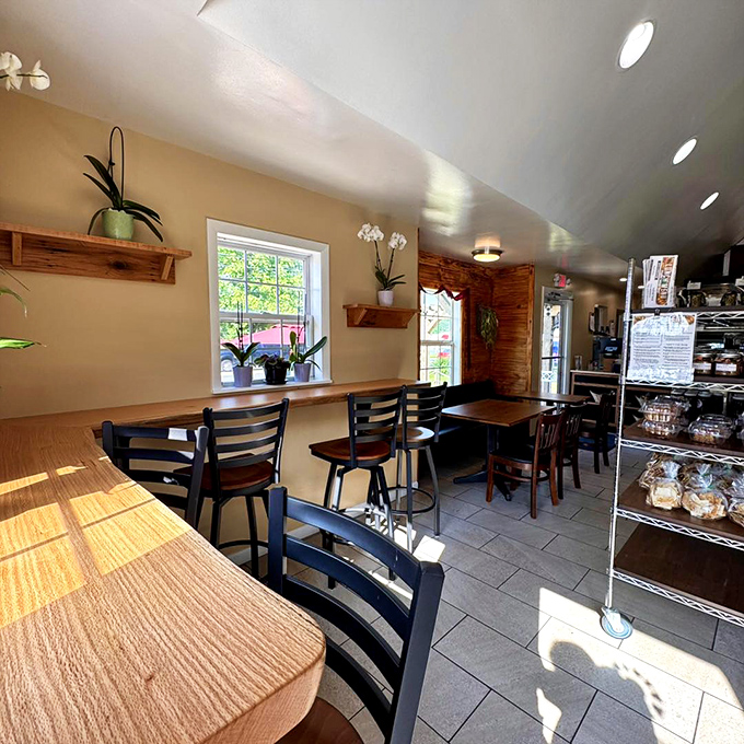 Sunlight streams through windows onto wooden tables where bread dreams come true. This cozy interior invites you to linger over coffee and pastry.