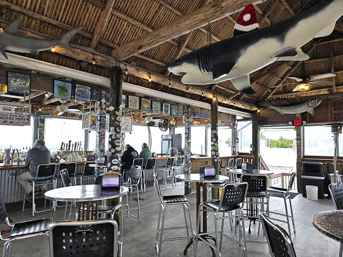 Where sharks hang from the ceiling and stories flow as freely as the beer. This rustic interior screams "authentic Florida Keys" louder than a conch horn.