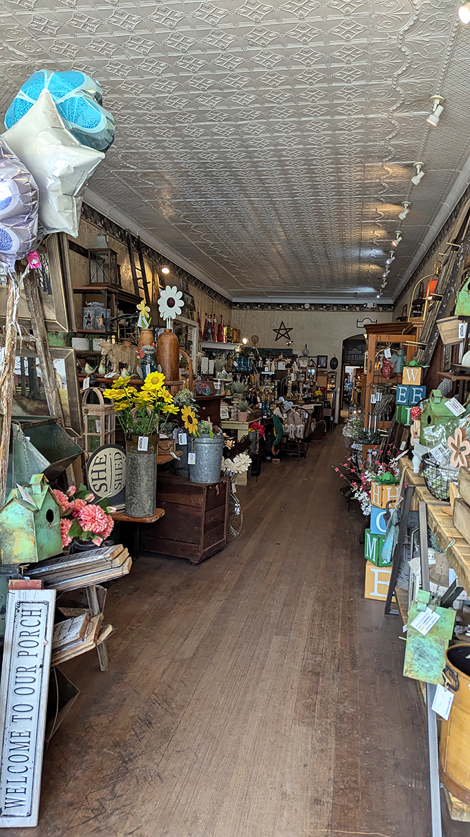 Step inside and time stands still. That pressed tin ceiling has witnessed generations of treasure hunters gasping at discoveries.