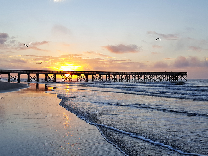 Nature's daily masterpiece unfolds as the sun bids farewell through the pier's wooden silhouette, transforming the Atlantic into a canvas of gold.