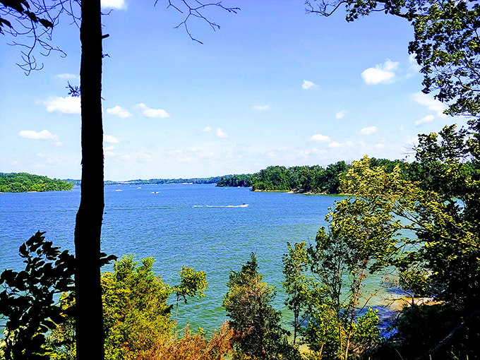 Sunlight dances across Caesar Creek's blue waters while boaters create tiny wakes. Mother Nature showing off her screensaver design skills.