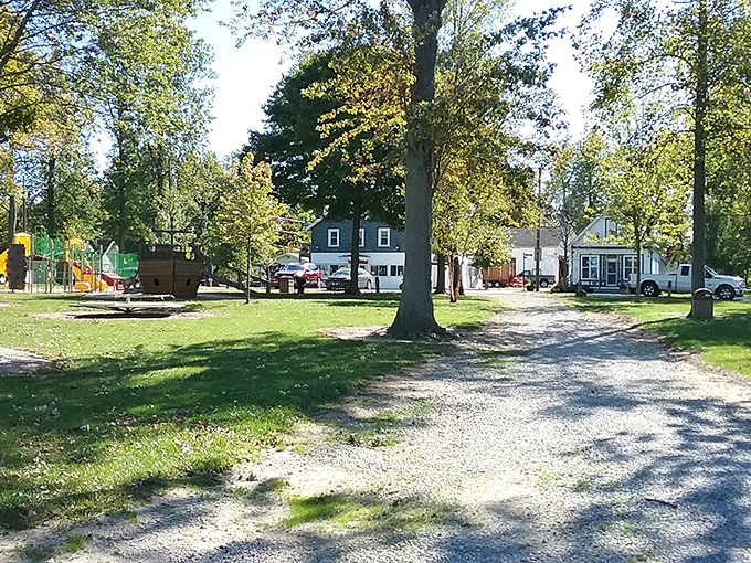 Linwood Park offers that classic neighborhood green space where memories are made. The playground equipment stands ready for the next generation of climbers. 