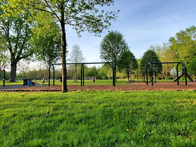 Milton State Park offers the luxury of space without the luxury price tag. Perfect for morning strolls, family picnics, or simply watching the river flow by.