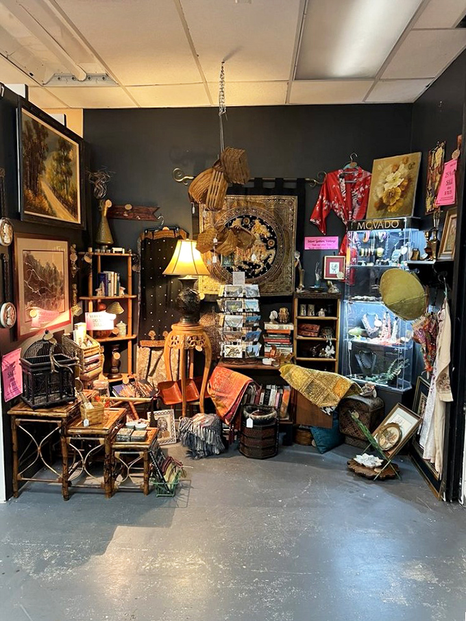 Every corner tells a different story, from vintage lampshades to mysterious artifacts waiting for discovery.