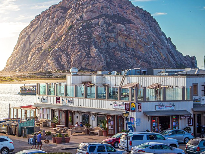 Where weathered fishing boats share harbor space with weekend warriors and nobody minds the company.