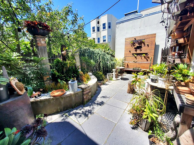 The outdoor garden area feels like stepping into a secret botanical sanctuary. Rare plants and artistic displays create a peaceful oasis amid urban bustle.
