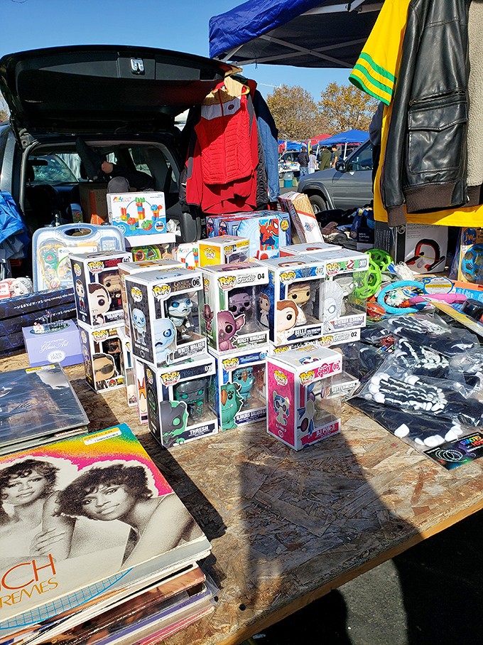 Pop culture immortalized in tiny vinyl figures! From superheroes to movie icons, these collectibles are nostalgia packaged in perfect little boxes.