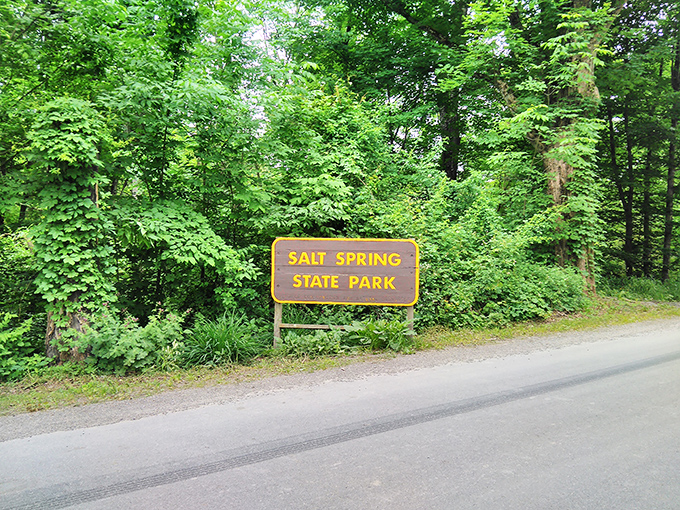 The unassuming entrance to paradise. Like finding a secret door to Narnia, this modest sign marks the threshold to 405 acres of natural wonder.