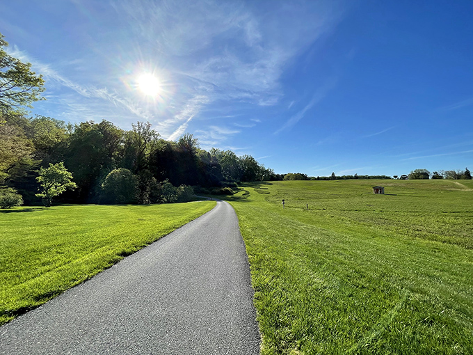 The road less traveled? Not exactly, but certainly the path more scenic. Bellevue's paved trails offer accessibility without sacrificing that "away from it all" feeling.
