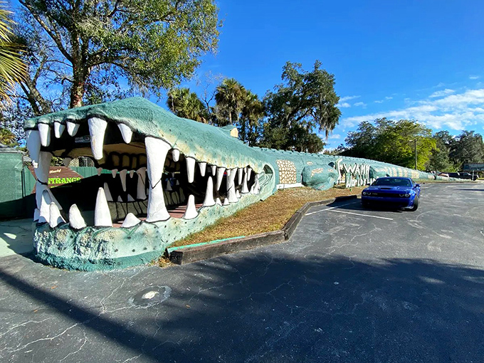 The parking situation at Swampy gives new meaning to "pulling up to the curb." That blue car might want to check its insurance policy.