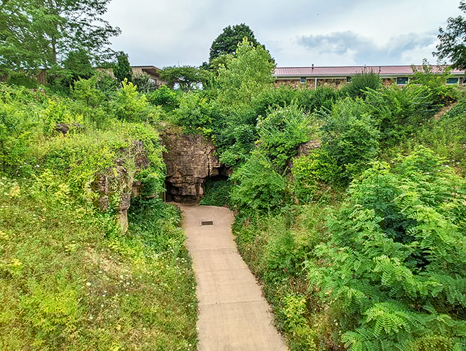 The path to underground wonder beckons through lush greenery. Mother Nature's red carpet treatment leads to a hidden world below.