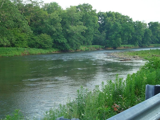 The Allegheny River meanders like it's got nowhere urgent to be, creating perfect moments for quiet contemplation.