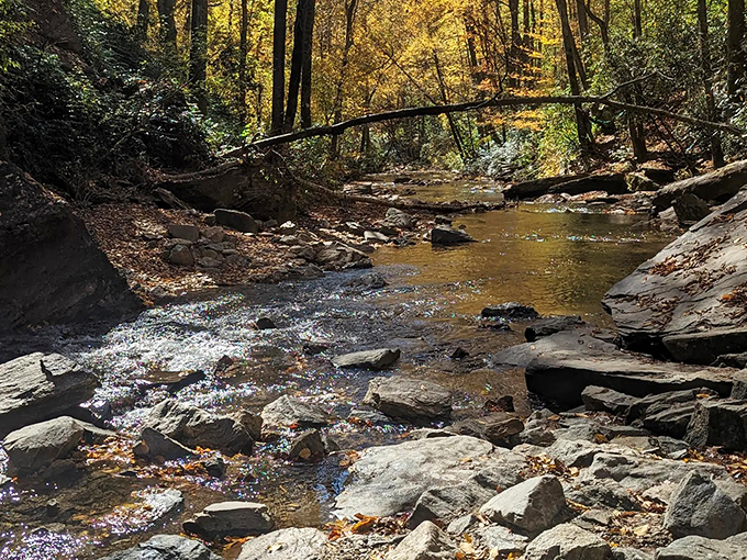 The aftermath of all that drama &ndash; Looking Glass Creek continues its journey with a quiet confidence, like a Broadway star casually exiting stage left.